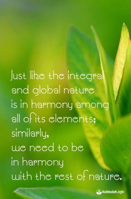 Positive Effect In Nature – Entering The Force-Field